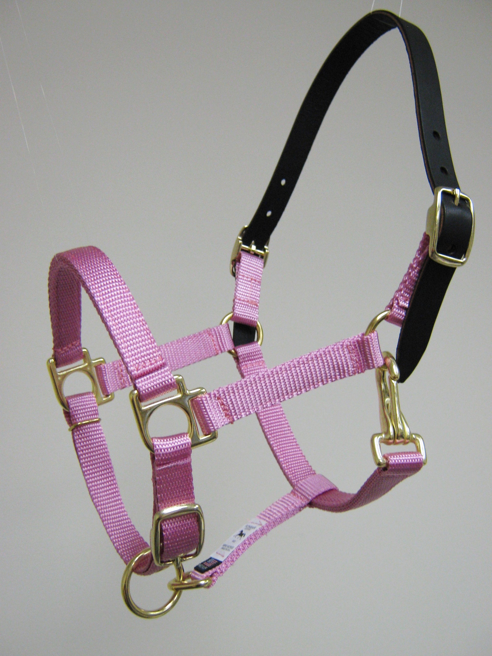Leather Crown Mini Horse Halter Breakaway Crown Horse Halter | Etsy