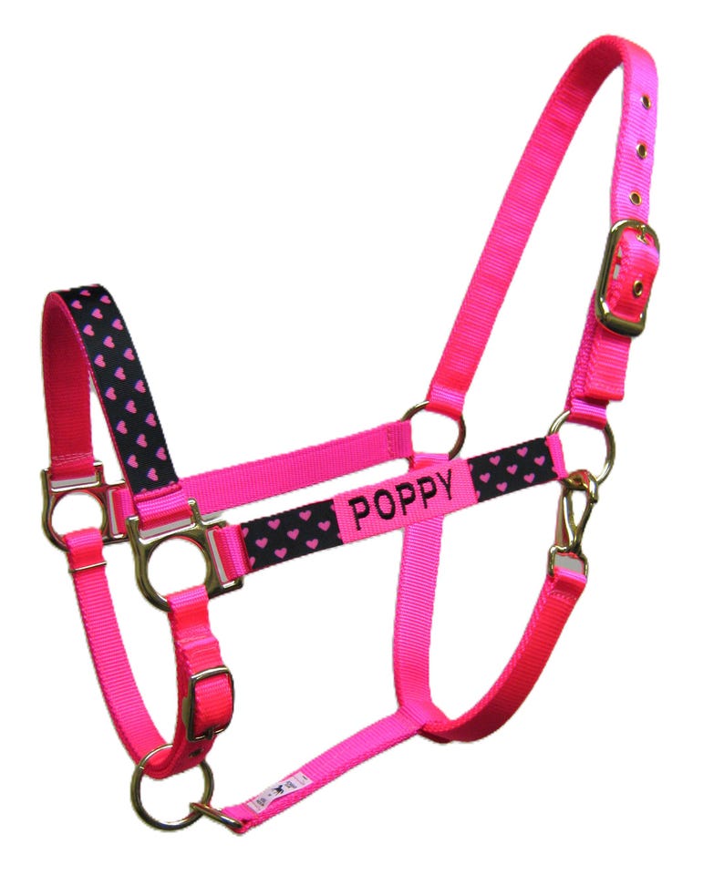 Personalized Hot Pink Hearts Horse Halter, Valentine's Horse Halter ...