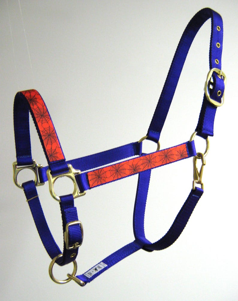 Web Trim Horse Halter, Spider Web Mini Halters, Halloween Large Horse ...
