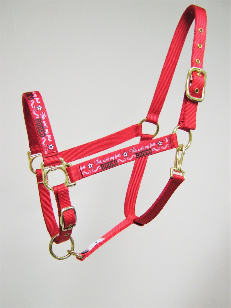 Little Cowgirl Horse Halter, Rodeo Draft Halter, Cowgirl Boots Large ...