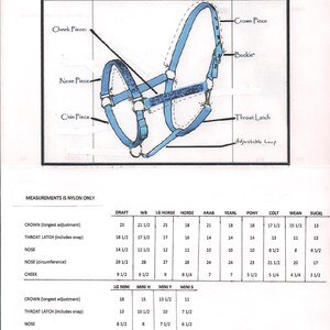 Horses With Bits Horse Halter, Bit Design Draft Halter, Custom Large ...