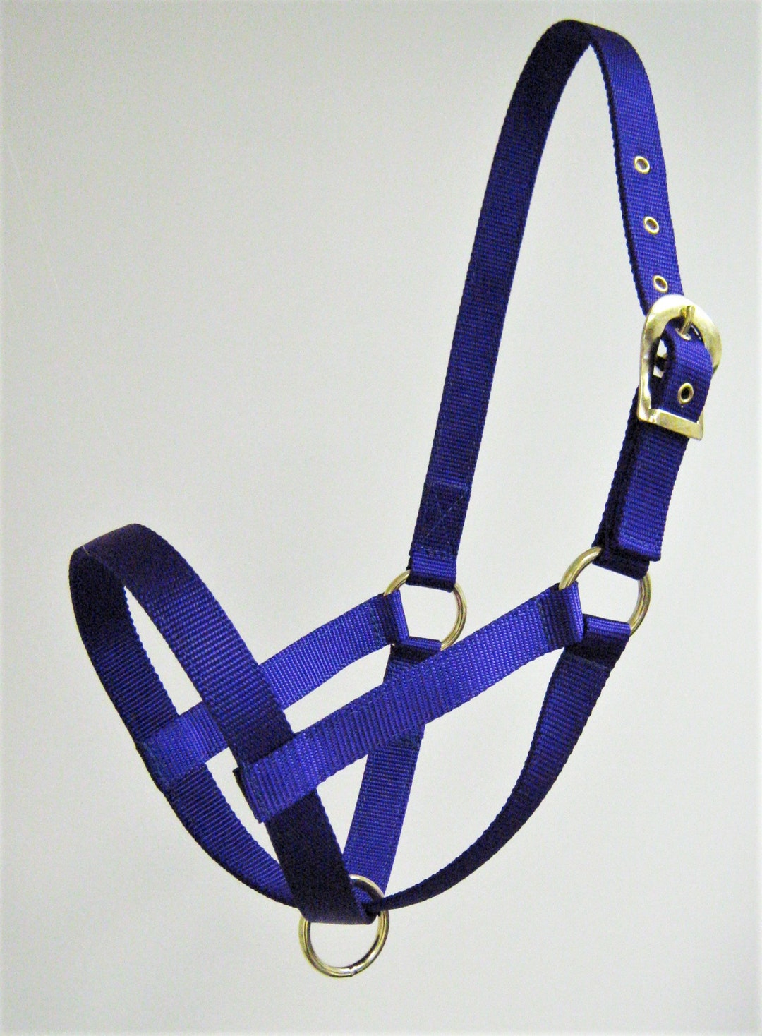 Cow Halter, Calf Halter, Colorful Cow Halter, Cow Utility Halter, Solid ...