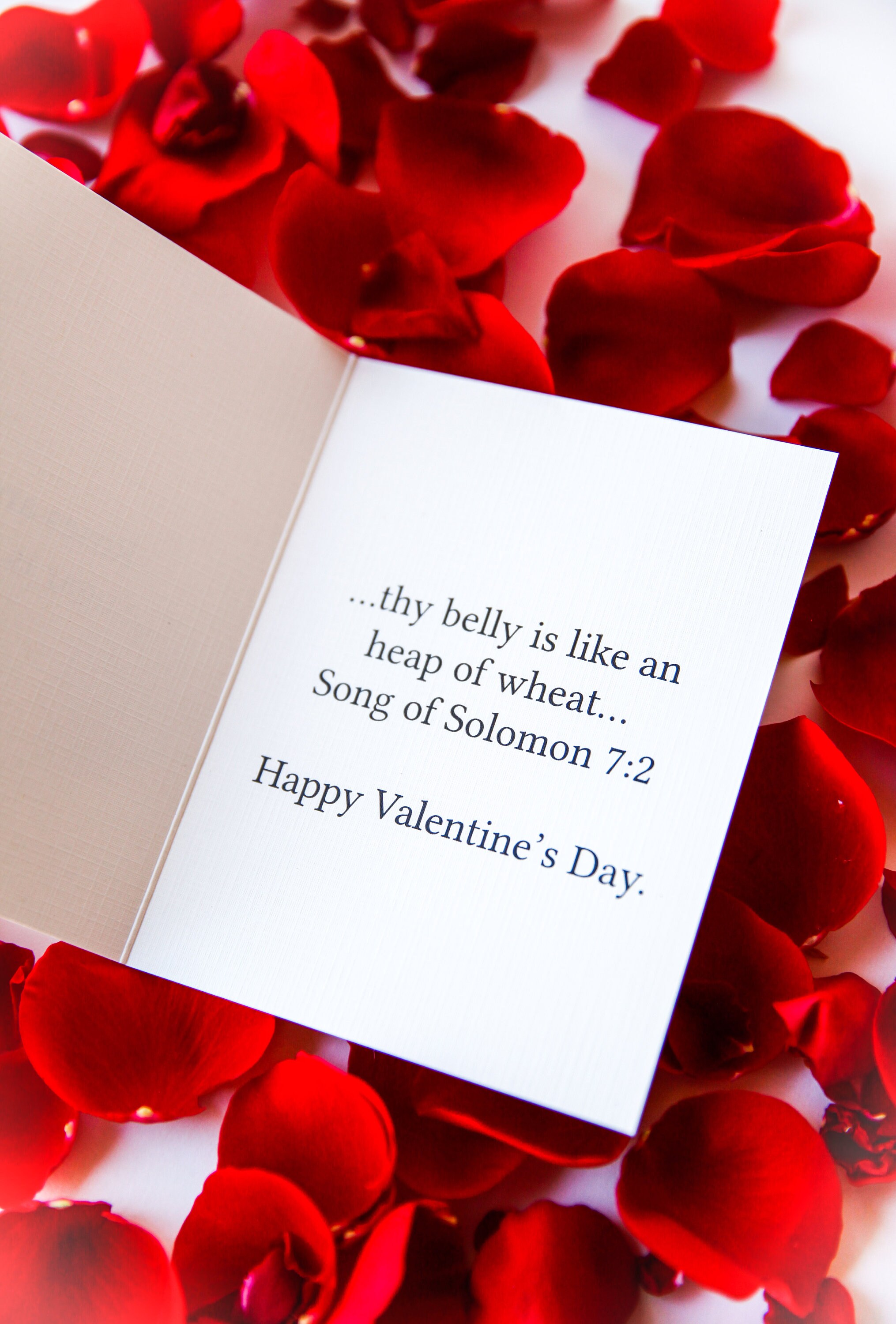 Funny Bible Verse Valentine's Day Card, Valentine's Day Card Husband ...