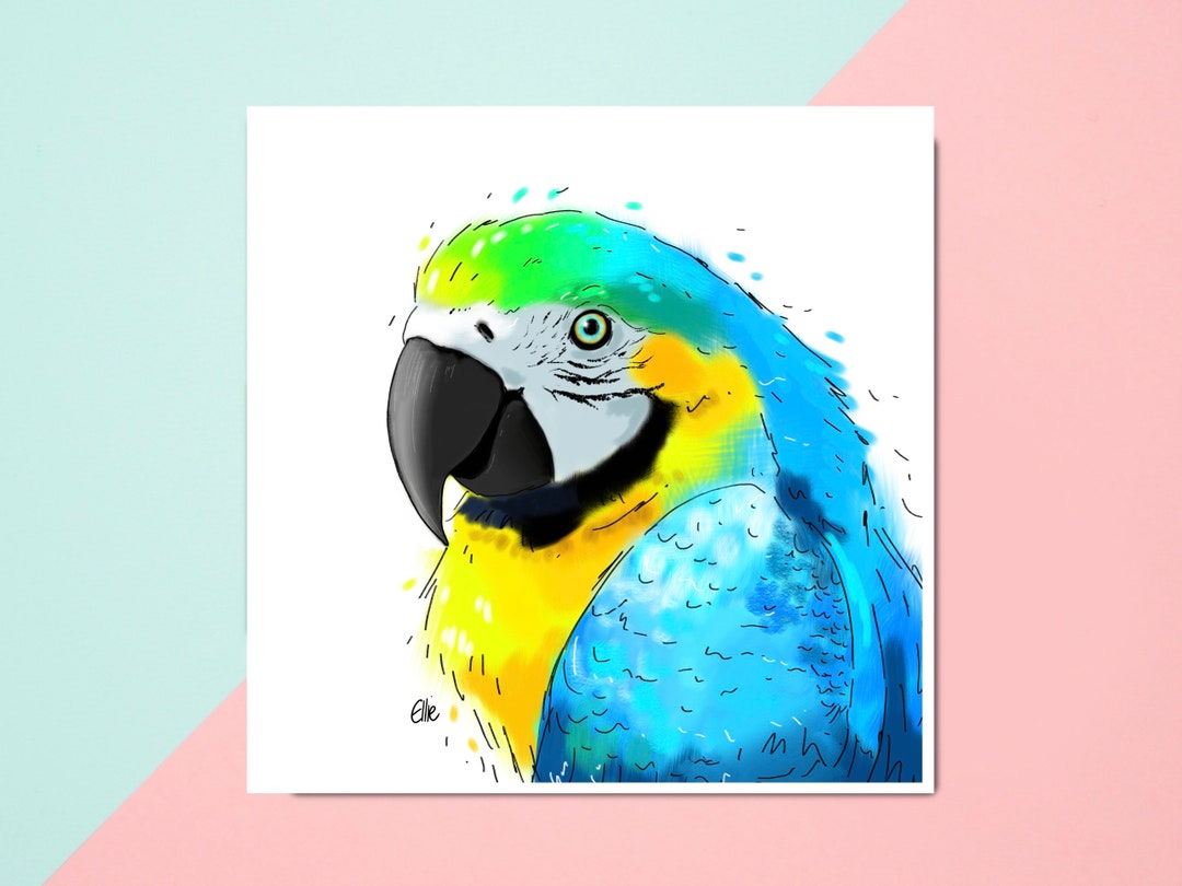 Parrot card // parrot gifts uk // parrot birthday card // fun colourful ...
