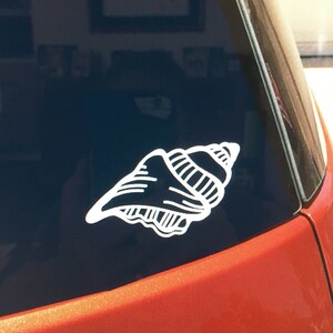 Seashell Vinyl Car Window Sticker, Seashell Decal - Etsy