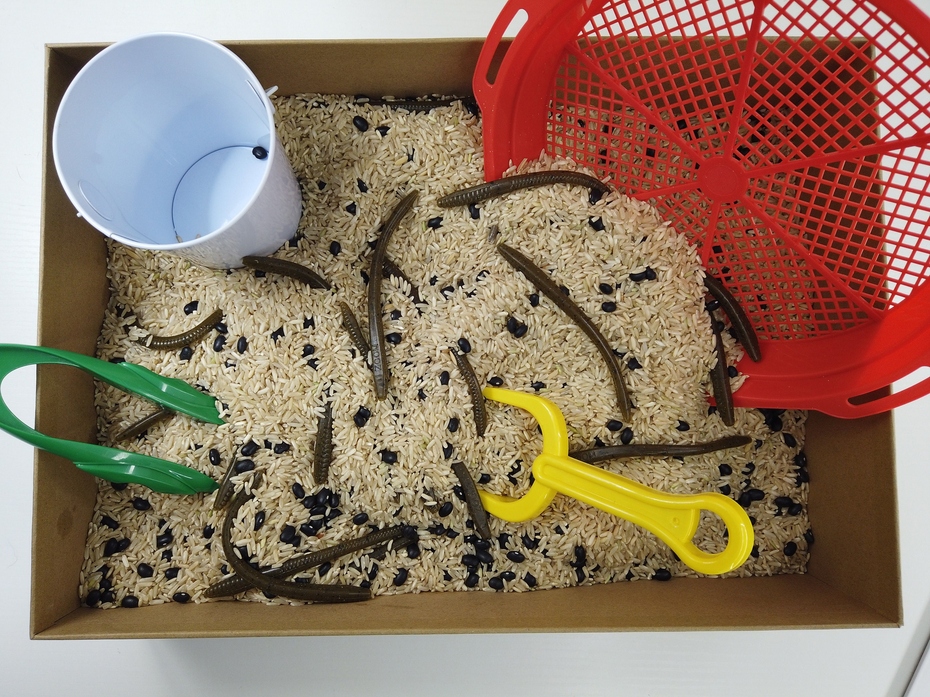 Worm Sifting Sensory Bin | Sensory Kit Filler | Montessori Play ...