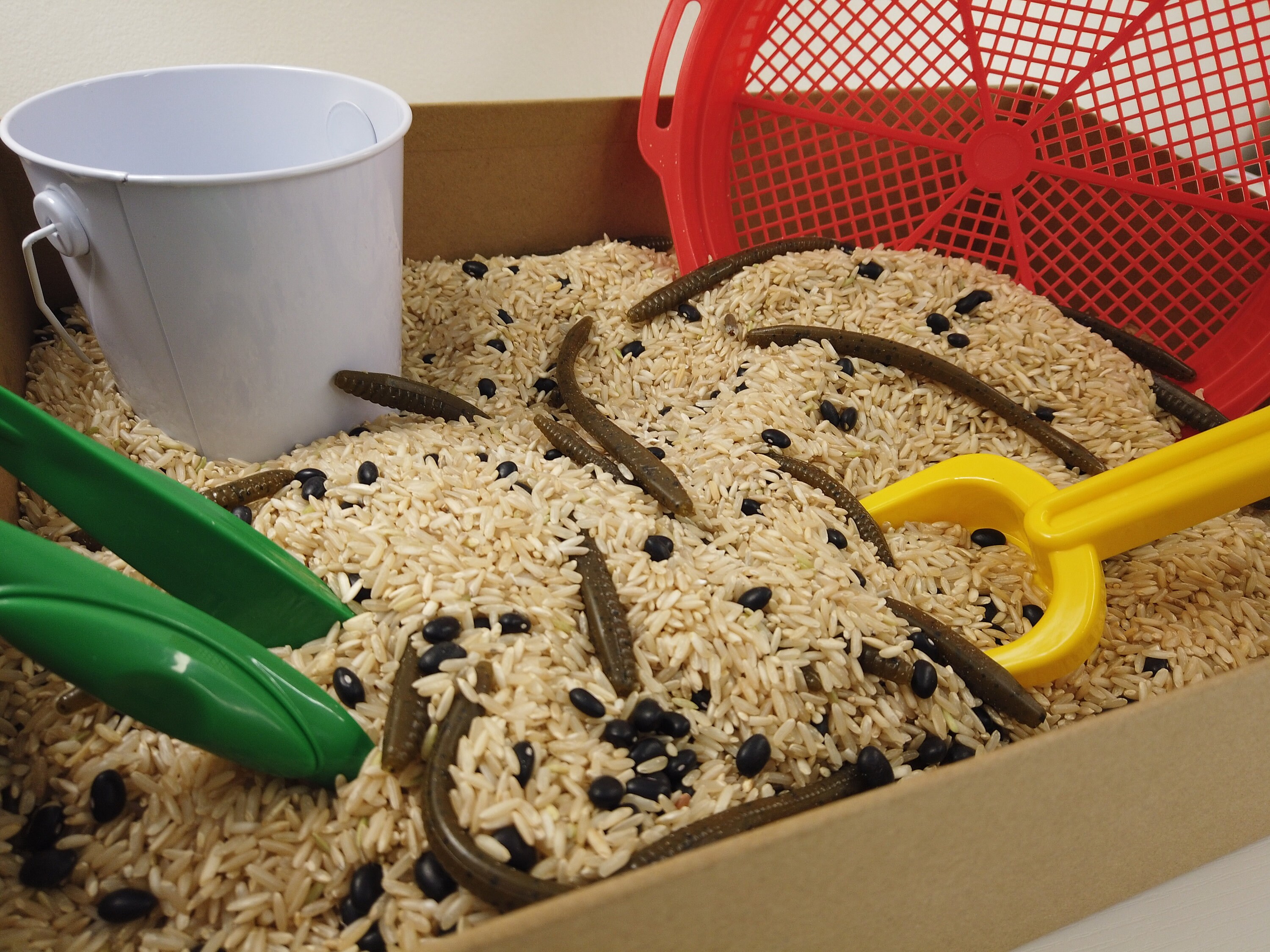 Worm Sifting Sensory Bin | Sensory Kit Filler | Montessori Play ...