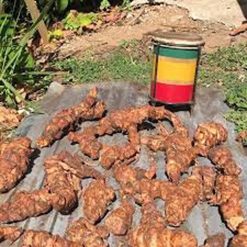 Imported Chaney Root/jamaican Herb Premium Jamaican Chaney - Etsy