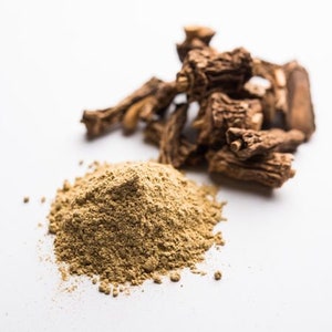 Wildcrafted Jamaican Sarsaparilla Powder, Cocolmeca BARK (16 Oz ...