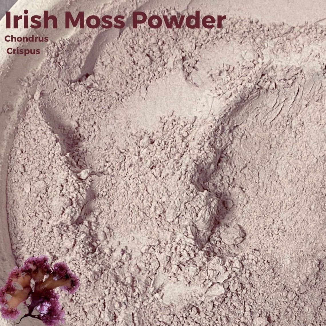 Purple Irish SEA Moss/ Purple Irish Moss Powder/capsules -16 Oz Bulk ...