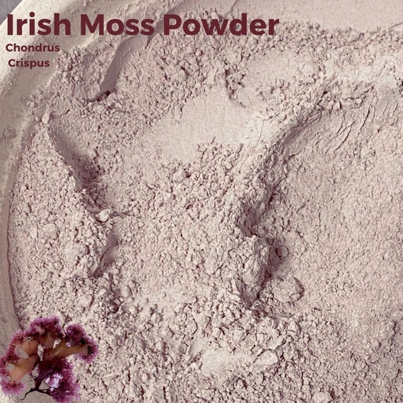 Purple Irish SEA Moss/ Purple Irish Moss Powder/capsules 16 | Etsy