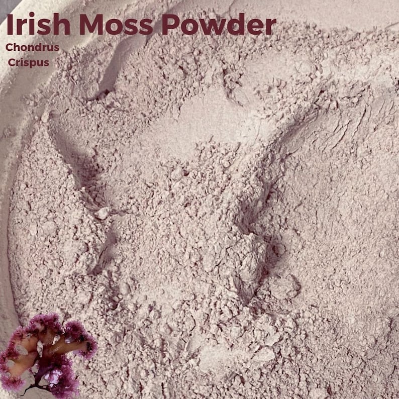 Purple Irish SEA Moss/ Purple Irish Moss Powder/capsules -16 Oz Bulk ...