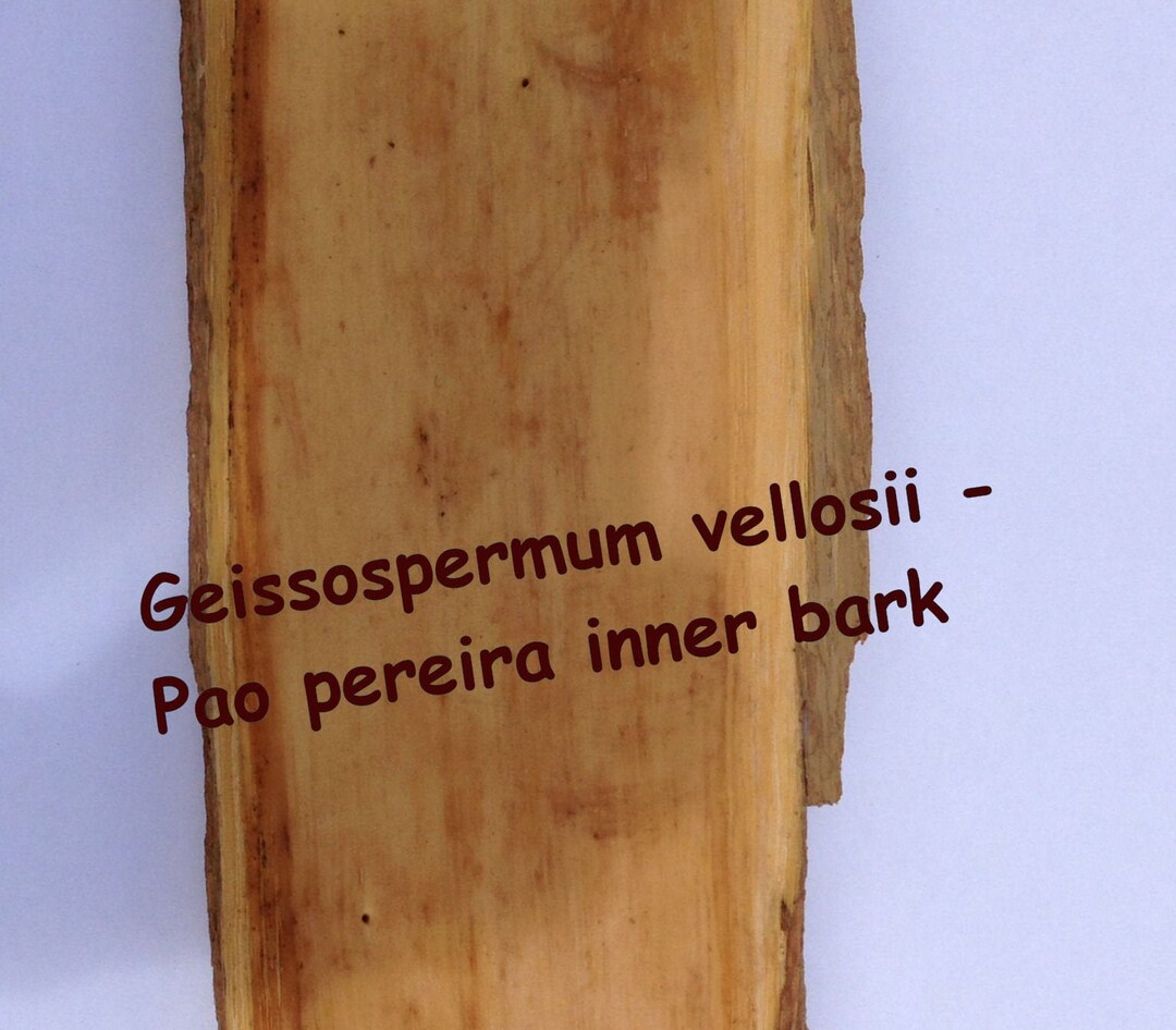 Pao PEREIRA Bark Tincture / Imported From South American/geissospermum ...