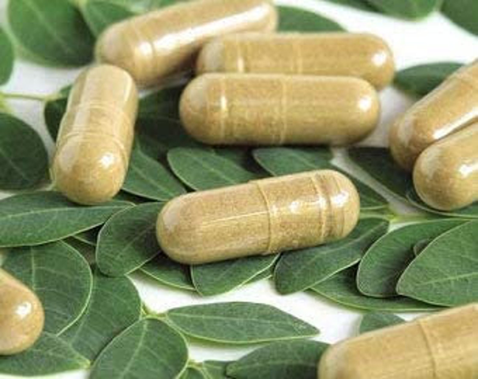 Viento/ ALKALINE Capsules/ Alkaline Herb/ Superfood Hierba Del Sapo ...