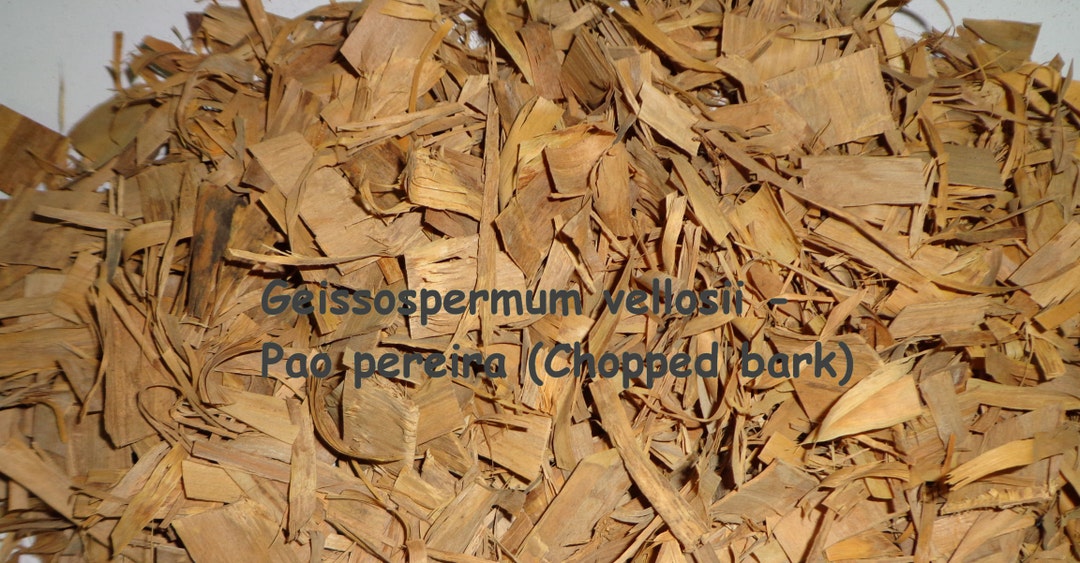 PAO PEREIRA Herb Capsules/ Imported From South American/geissospermum ...