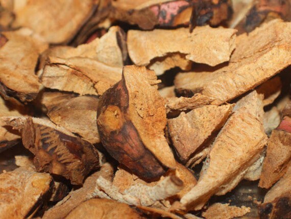 Imported Chaney Root/jamaican Herb Premium Jamaican Chaney | Etsy