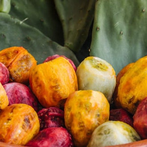 Bulk Nopal Cactus Powder Wildcrafted, ORGANIC Prickly Pear/ Dehydrated ...