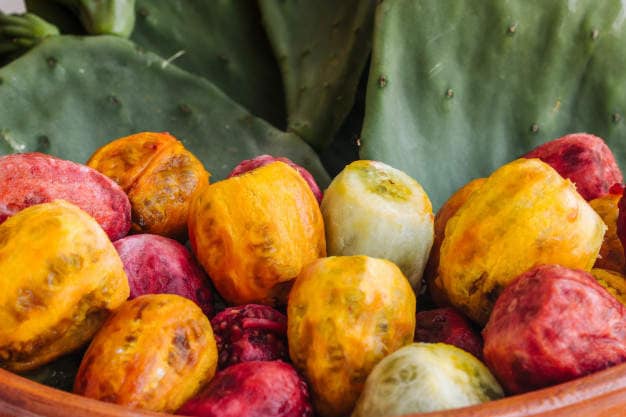 Bulk Nopal Cactus Powder Wildcrafted ORGANIC Prickly Pear/ - Etsy