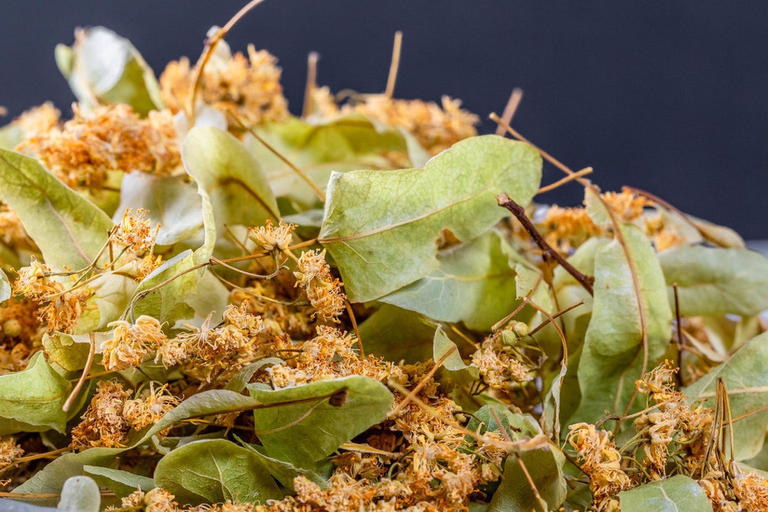 Linden Flower Cut-dried/ Tila - Tila Europae (100% Pure Natural ...