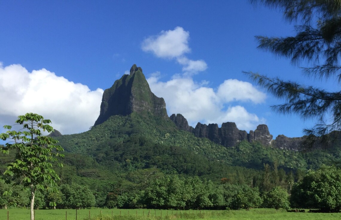 Moua Roa - Shark's Tooth - Moorea - French Polynesia - Tahiti - Etsy