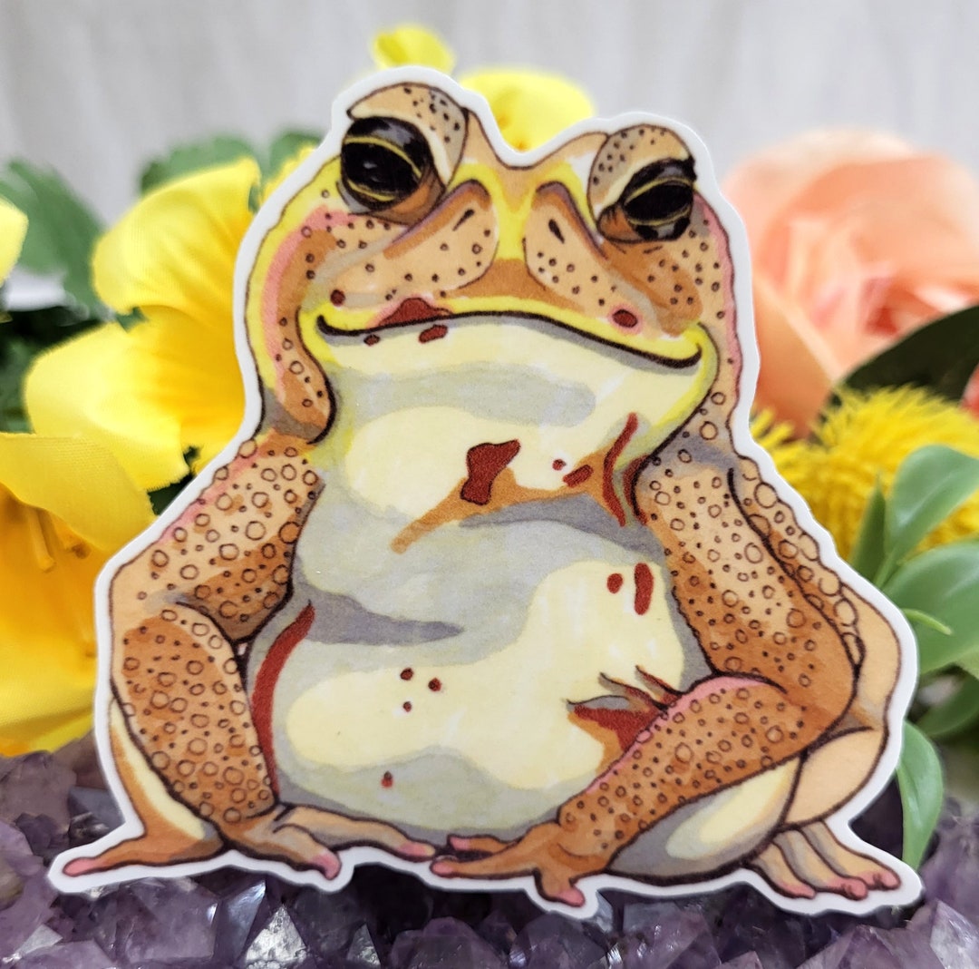 Toad Drawing Vinyl Decal Water Resistant Art Sticker, Cane Toad Nature ...