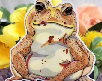 Cane Toad Drawing - Etsy