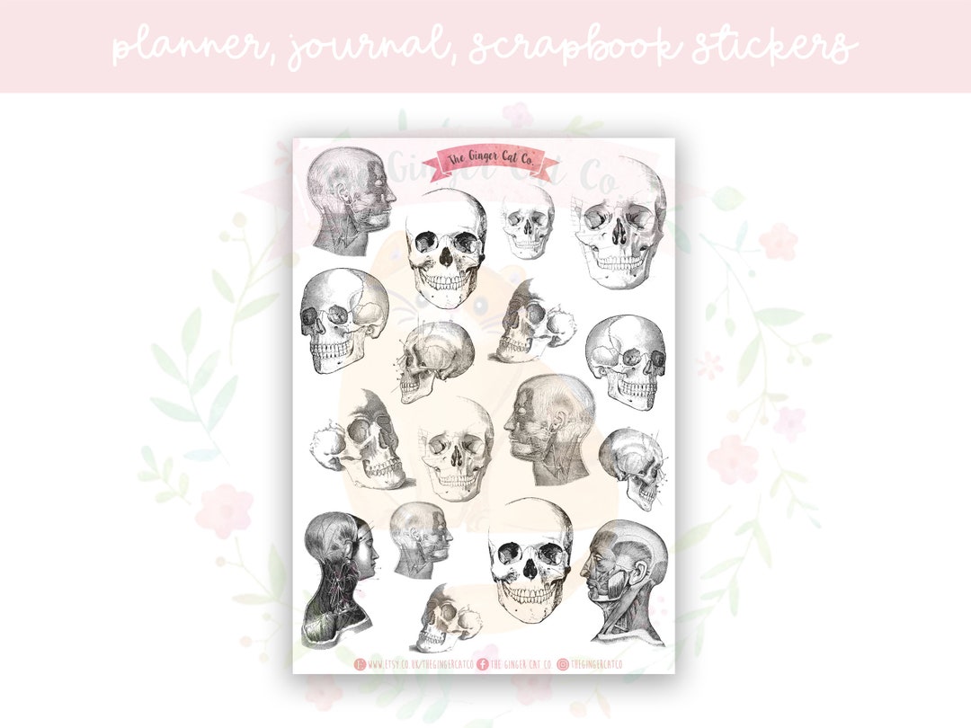 Vintage Skulls & Head Anatomy Planner Sticker Sheet | Decorative ...