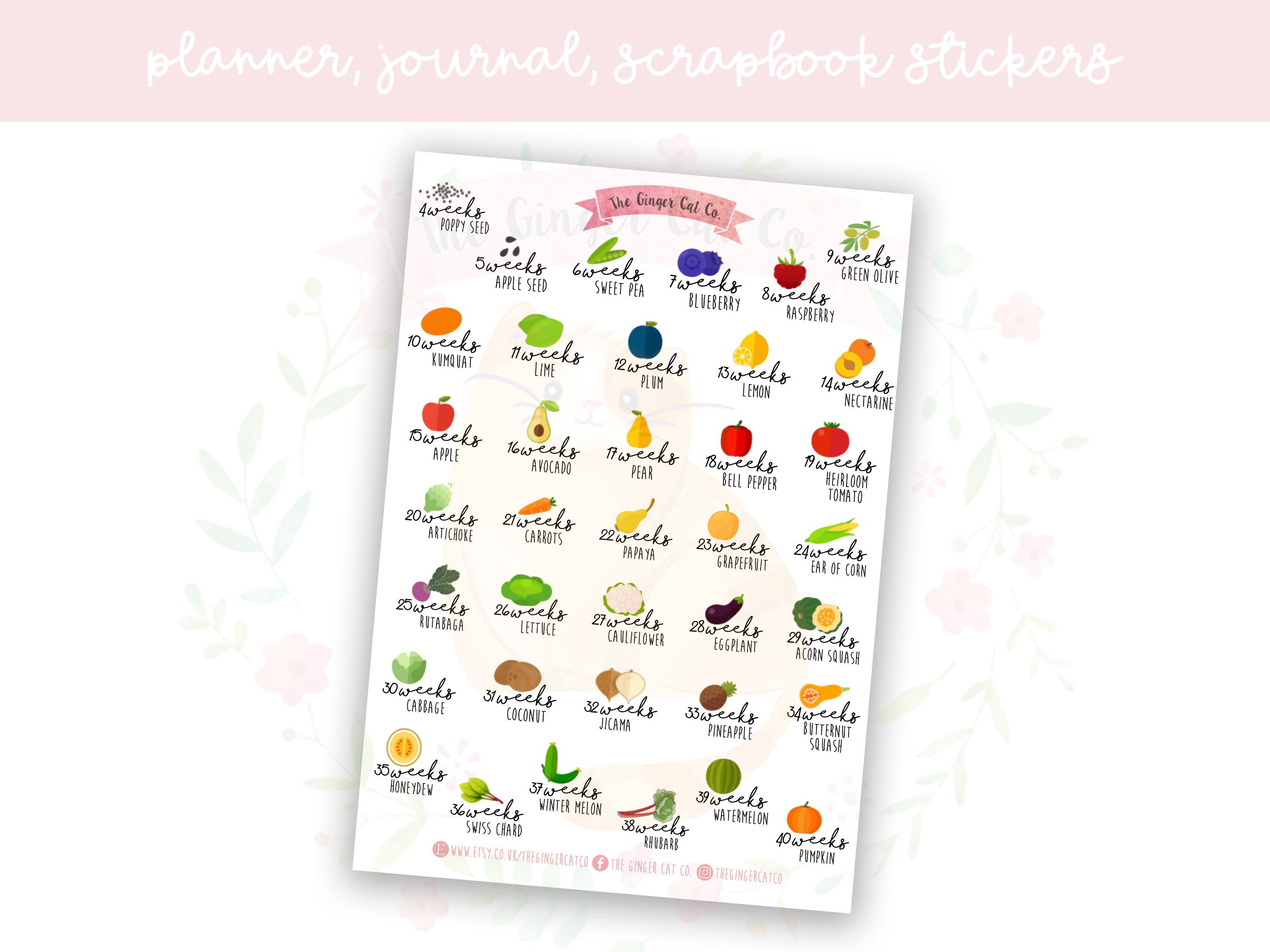Fruit & Veg Baby Bump Growth Tracker Planner, Journaling, Scrapbook ...