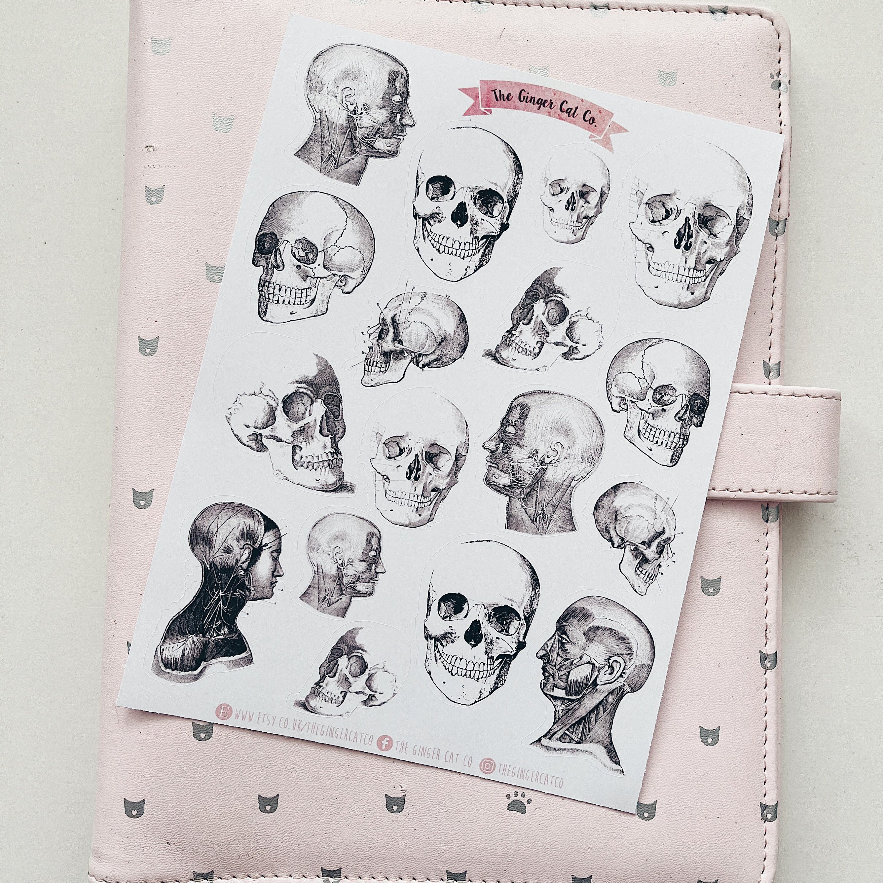 Vintage Skulls & Head Anatomy Planner Sticker Sheet | Decorative ...