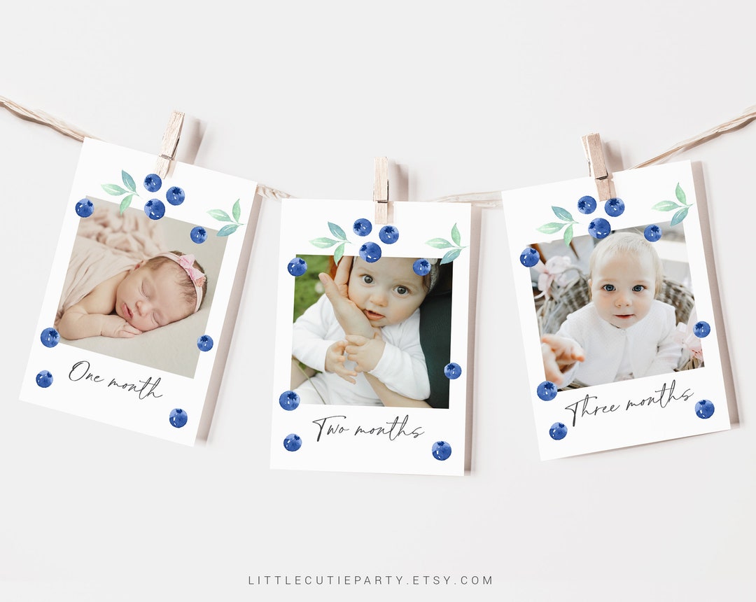 Editable Blueberry Photo Banner, Berry Sweet 1st Birthday Banner, First ...