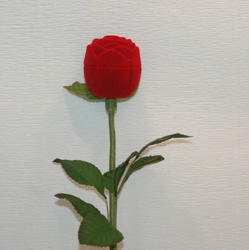 12 Pezzi Astuccio Per Gioielli ROSA ROSSA Vellutata Con Stelo | Etsy