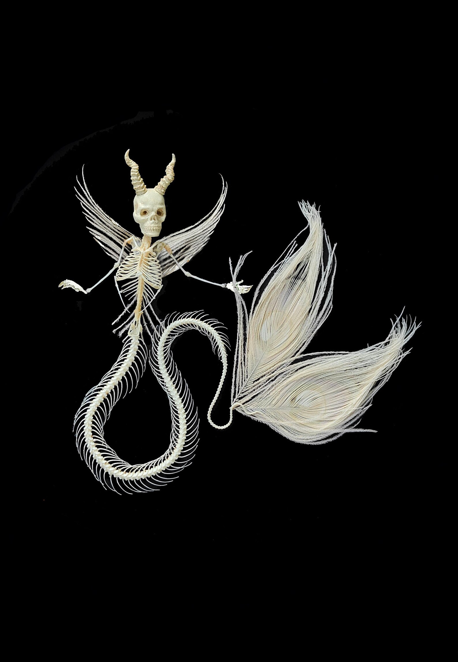 Siren Prints Queen of Skulls Mermaid Skeleton Photography - Etsy