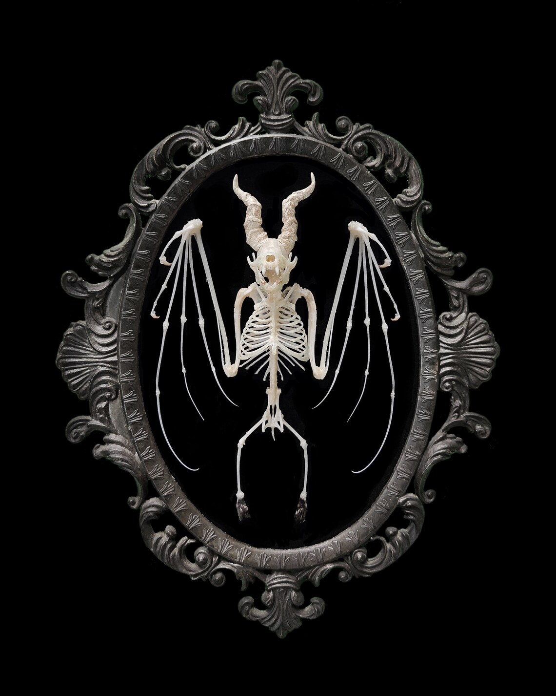 Siren Prints Queen of Skulls Mermaid Skeleton Photography - Etsy UK