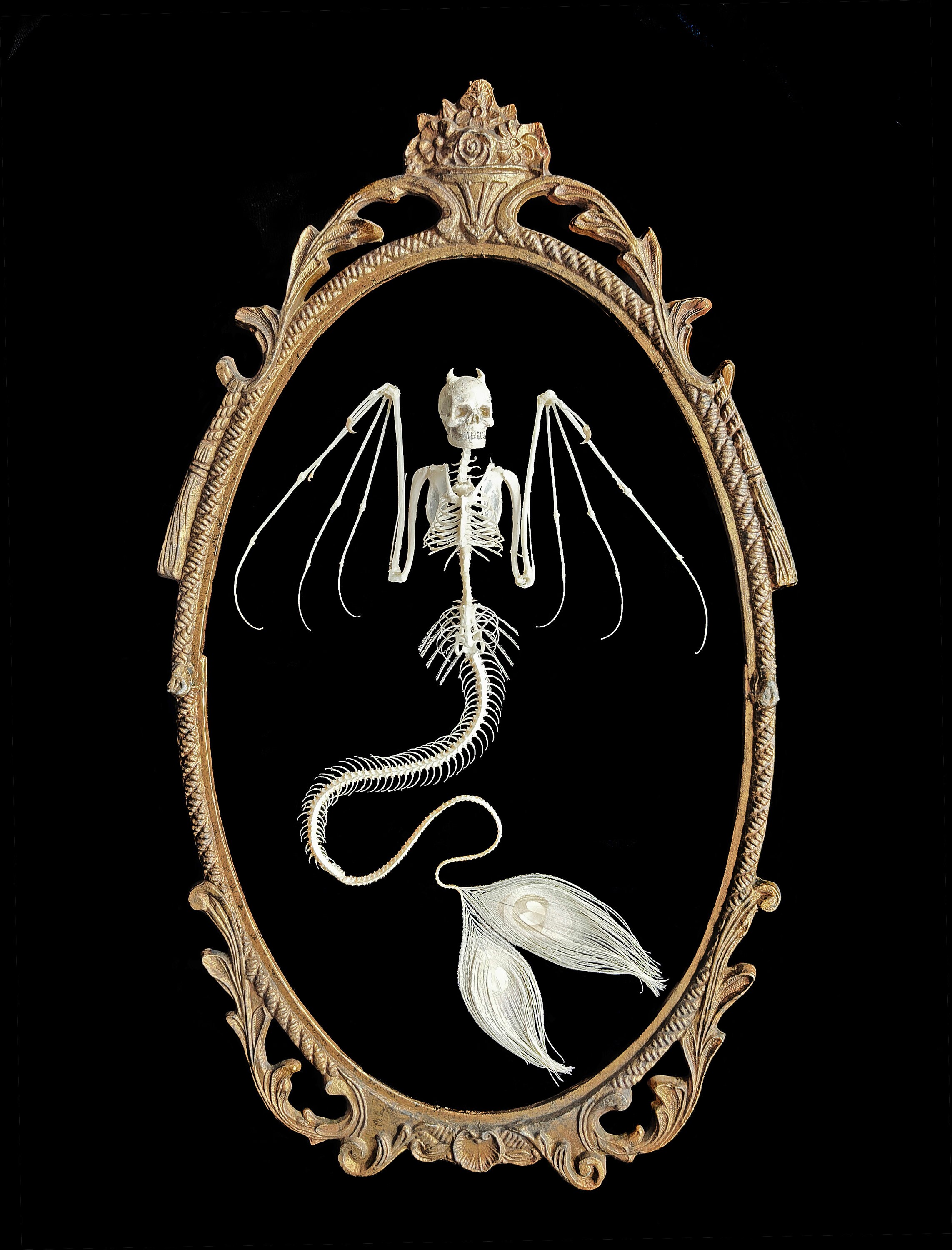 Siren Prints Queen of Skulls Mermaid Skeleton Photography | Etsy