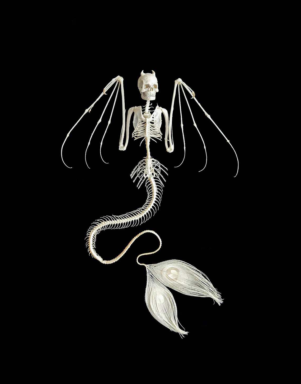 Siren Prints Queen of Skulls Mermaid Skeleton Photography - Etsy