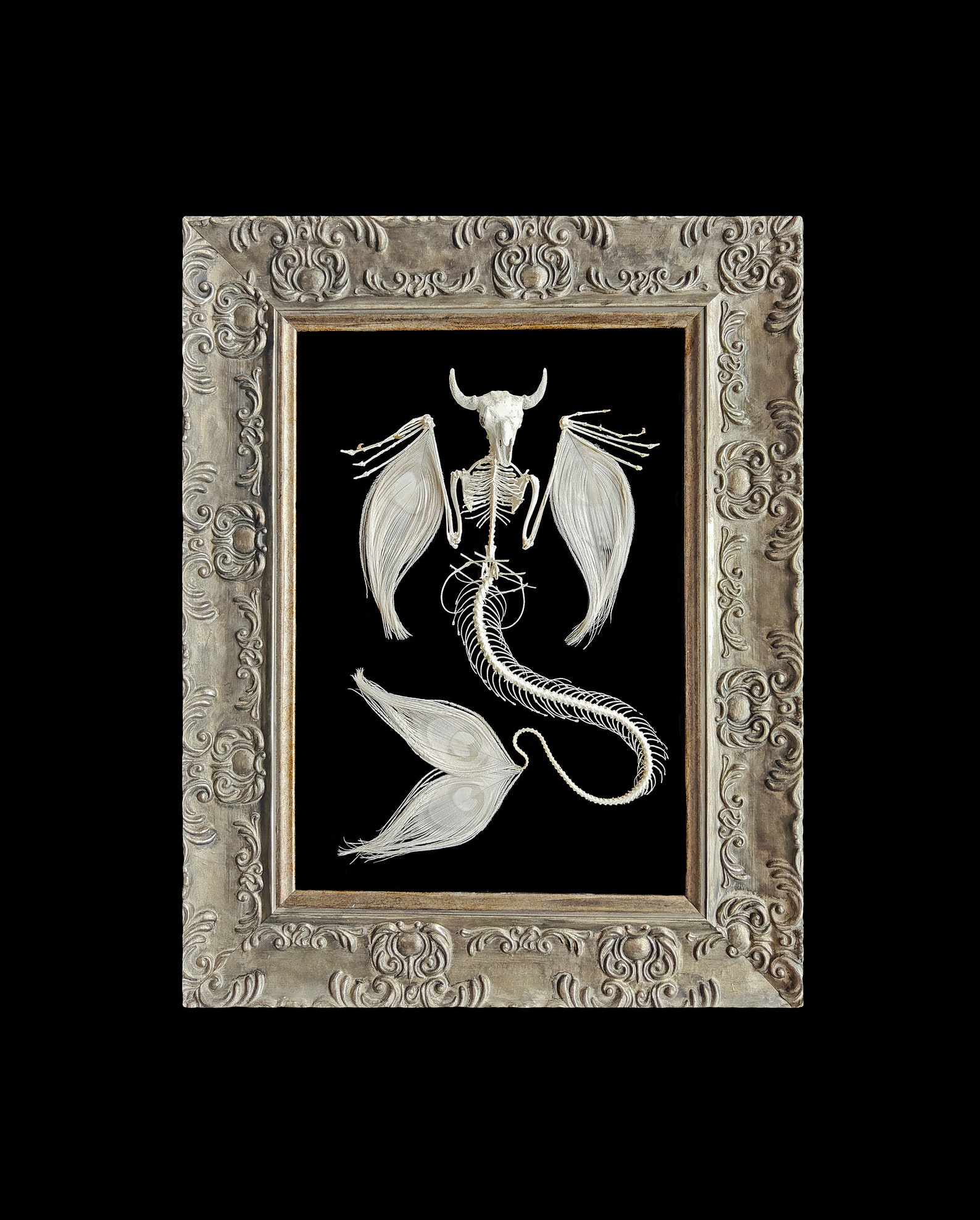 Siren Prints Queen of Skulls Mermaid Skeleton Photography | Etsy