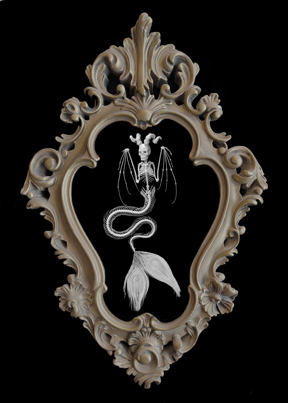 Siren Prints Queen of Skulls Mermaid Skeleton Photography - Etsy UK