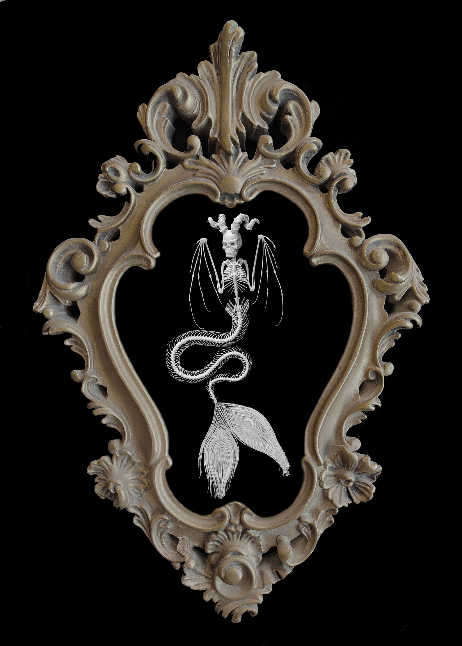 Siren Prints Queen of Skulls Mermaid Skeleton Photography - Etsy UK