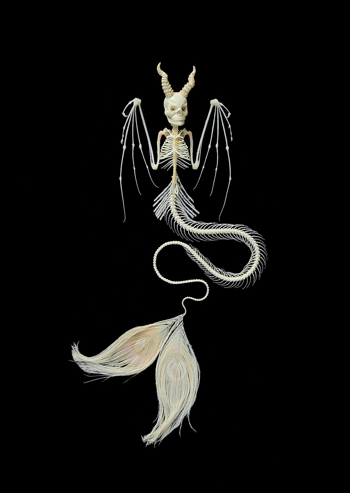 Siren Prints Queen of Skulls Mermaid Skeleton Photography - Etsy