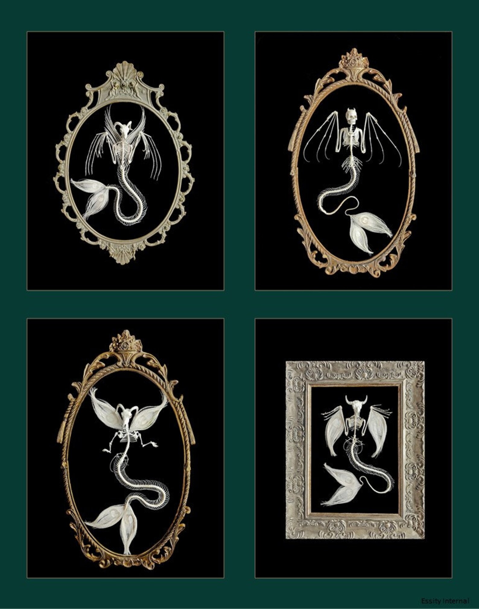 Siren Prints Queen of Skulls Mermaid Skeleton Photography | Etsy