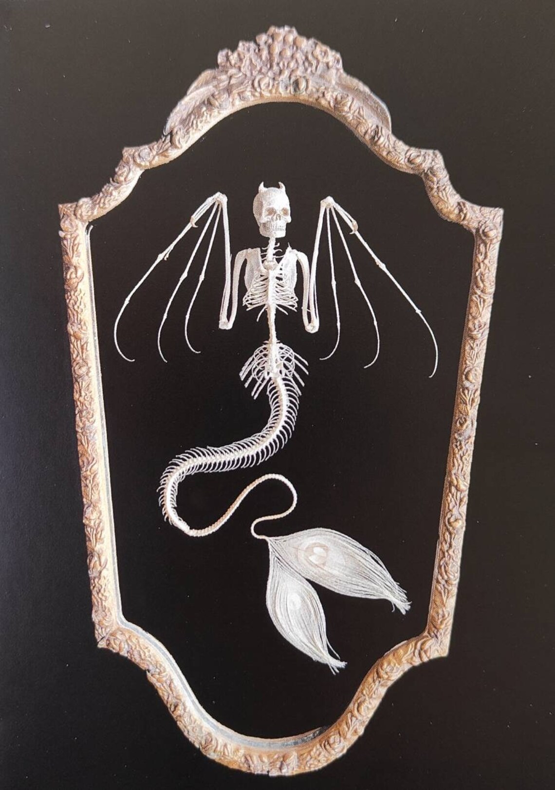 Siren Prints Queen of Skulls Mermaid Skeleton Photography - Etsy UK