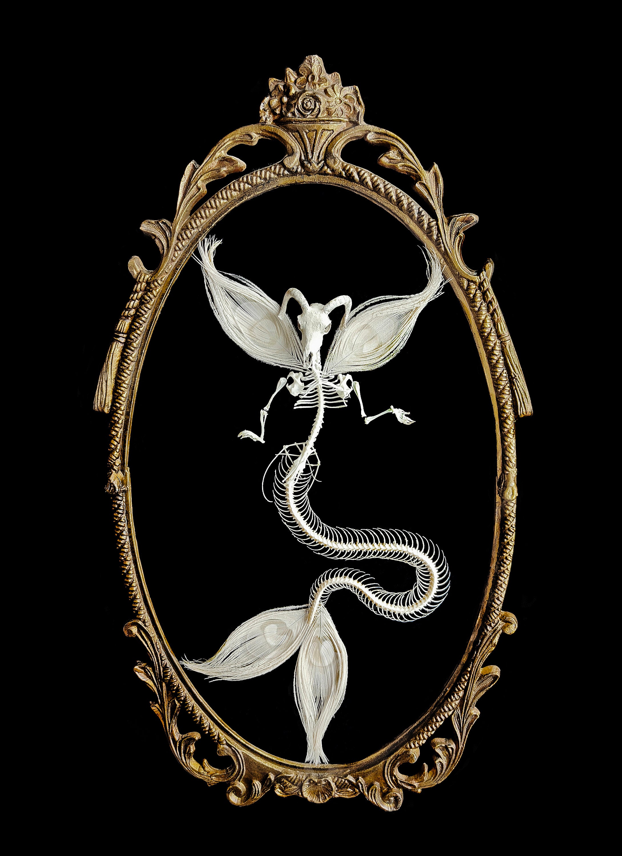 Siren Prints Queen of Skulls Mermaid Skeleton Photography - Etsy UK