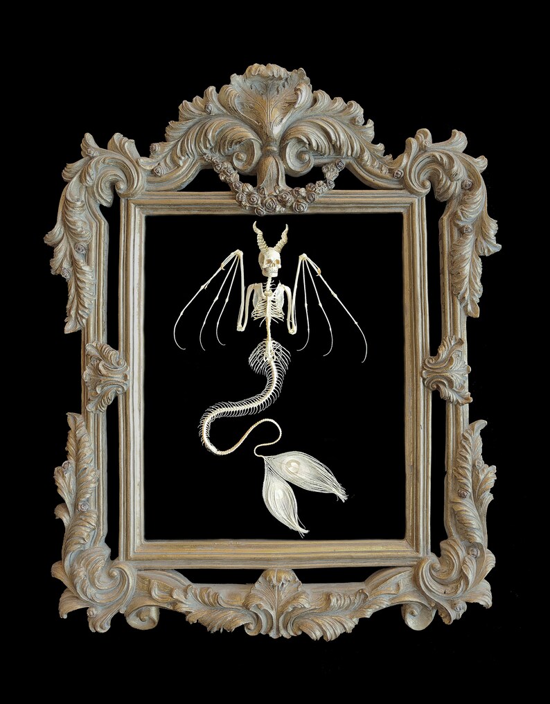 Siren Prints Queen of Skulls Mermaid Skeleton Photography - Etsy UK