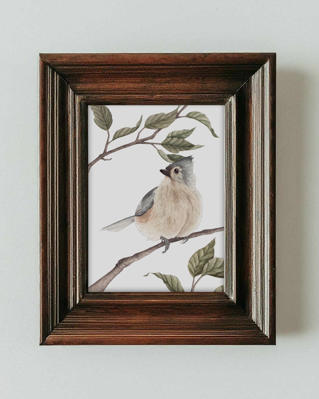 Tufted Titmouse Art Print | Nature Inspired | Bird Illustration ...
