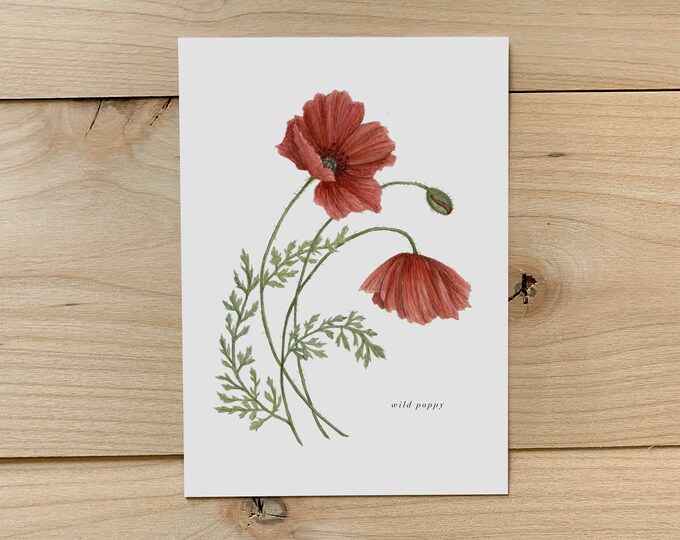 Wild Poppy Art Print Botanical Painting Floral - Etsy