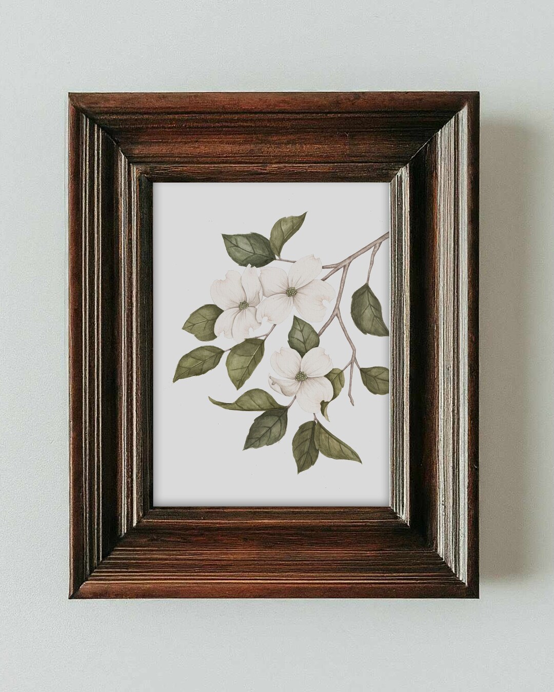 Dogwood Art Print | Botanical Painting | Floral Illustration ...