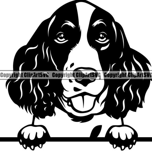 English Springer Spaniel SVG Dog Dxf Cut File Pet for - Etsy
