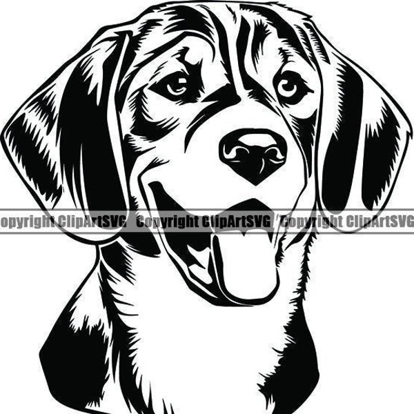 Funny Graduation Card Bikini Bottom Reference Card for College ...