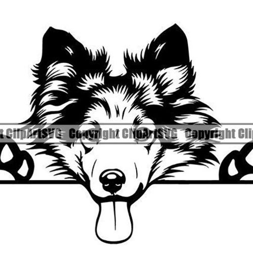 Sheltie Dog Head Svg Vector Graphic Art Shetland Sheepdog Cut - Etsy