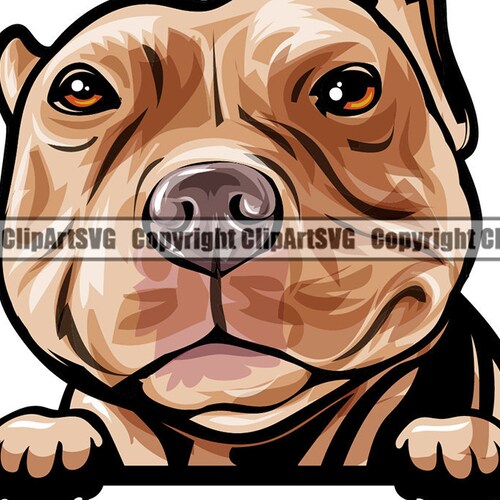 Pit Bull Dog Peeking Peek-a-boo Breed Happy Face Puppy Animal - Etsy